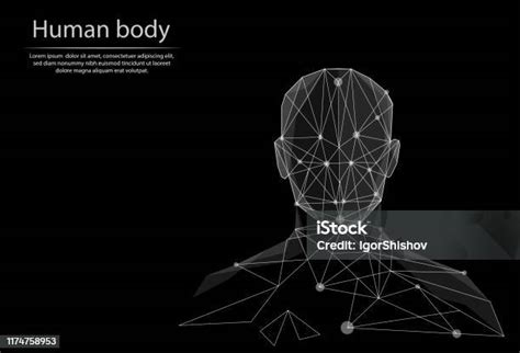 삼각형과 기하학적 모양으로 구성된 선과 점의 형태로 추상이미지 인체 낮은 폴리 벡터 배경입니다 머리에 대한 스톡 벡터 아트 및