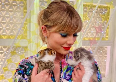 Taylor Swift Cats Names How Many Cats Does T Swift 59 Off