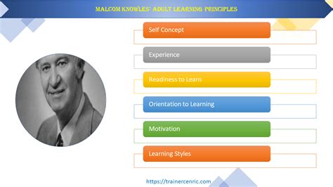 The 6 Principles By Malcolm Knowles Enhancing The Best Educational