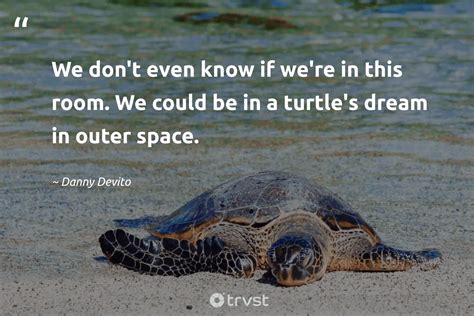 42 Turtle Quotes Teaching Patience Self Worth And More 2024