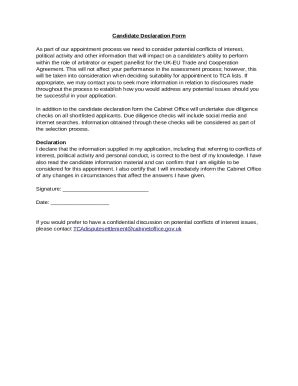 Candidate Declaration GOV UK Doc Template PdfFiller