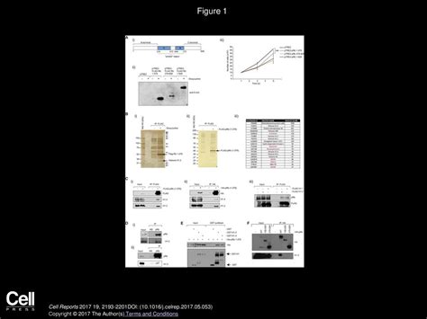 Volume Issue Pages June Ppt Download