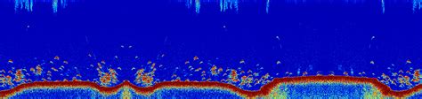 CHIRP Sonar Technology Garmin Singapore