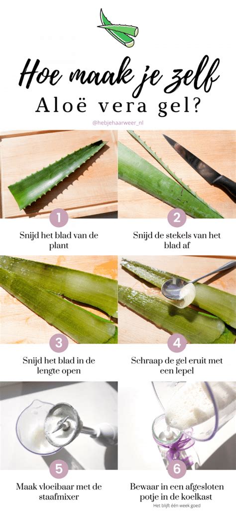 Waarom Haarverzorging Met Aloë Vera Goed Is Voor Je Haar