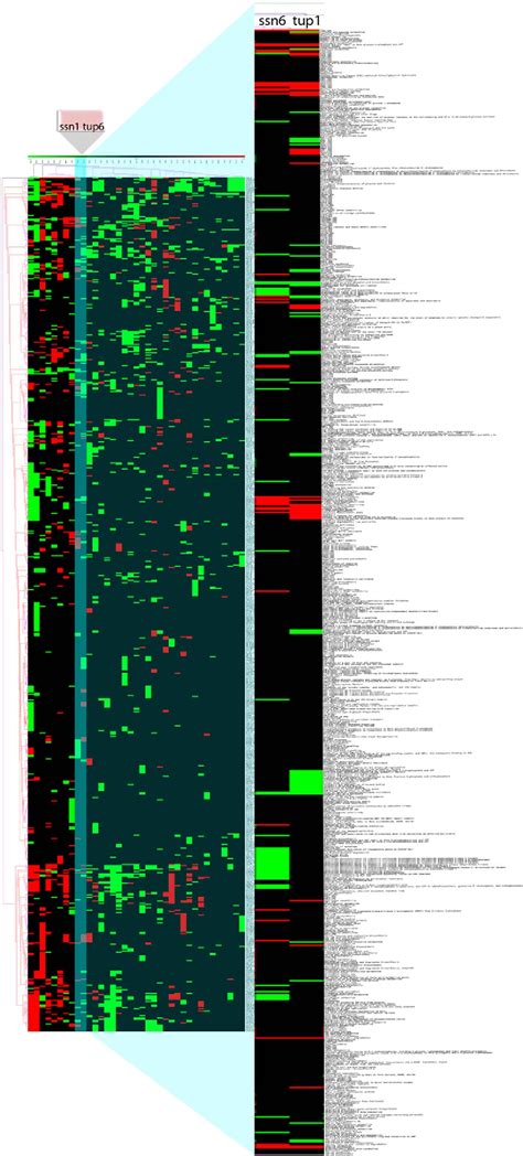 figure 2 from using pathway signatures as means of identifying similarities among microarray