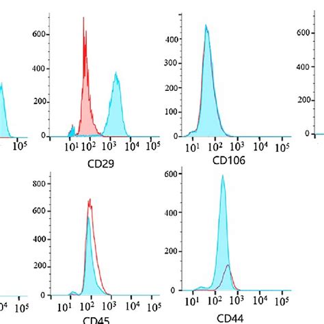 Flow Cytometric Determination Of Cell Surface Antigen Profile Of Rat