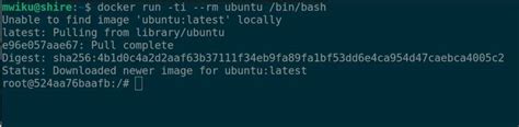 How To Run Ubuntu As A Docker Container