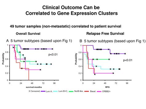 Ppt Lecture 8 Functional Genomics Gene Expression Profiling Using Dna Microarrays Part Ii