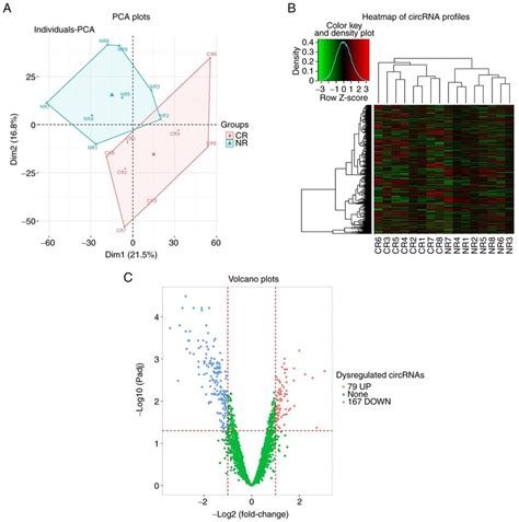 PCA Plots Heatmap Analysis And Volcano Plots A PCA Plots And B Download Scientific