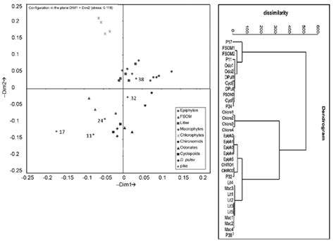Agglomerative Hierarchical Clustering Analysis Right And Download Scientific Diagram