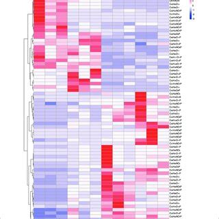 Heatmap Displaying The Log 2 Fold Change In Lipid Metabolite Between