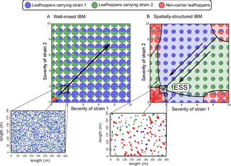Spatial Patterning Qualitatively Changes Evolutionary Outcomes A B Download Scientific