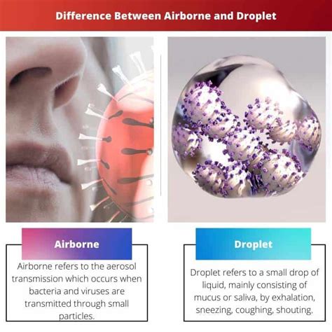 Airborne Vs Droplet Difference And Comparison