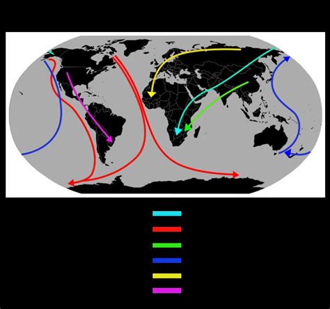 Bird Migration Alchetron The Free Social Encyclopedia