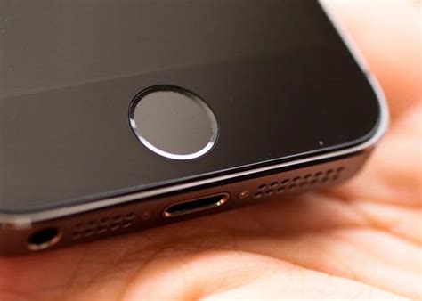 El Suministro Del Sensor Touch Id Para El Iphone 6 Descarta Una Presentación En Mayo