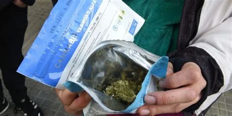 Legalisasi Ganja Gaya Urugay Bagaimana Indonesia