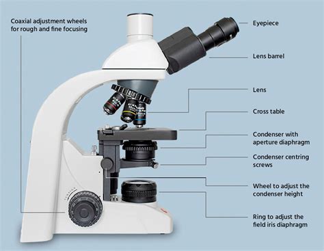 Microscope Diaphragm