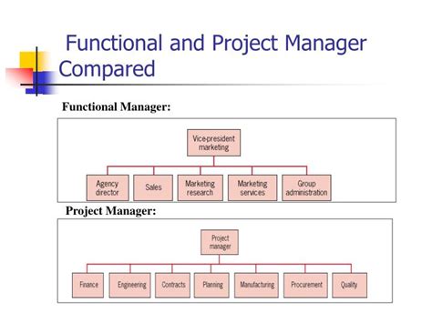 Project Management Structures Vs Functional Management