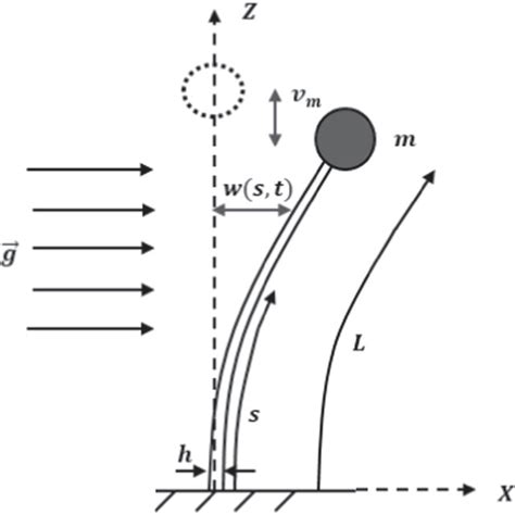 Cantilever Beam With Tip Mass Subjected To A Transversal Aerodynamic