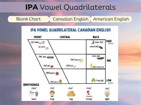 Vowel Quadrilateral Ipa Speech Pathology Etsy