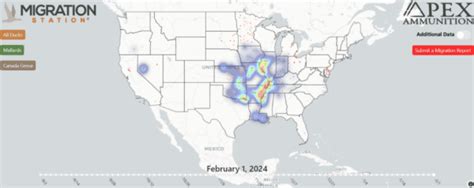 Live Duck Migration Map Comparison Guide 50 Ducks