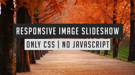 Responsive Image Slideshow Using Only Html And Css Image Slideshow Responsive Image Slider