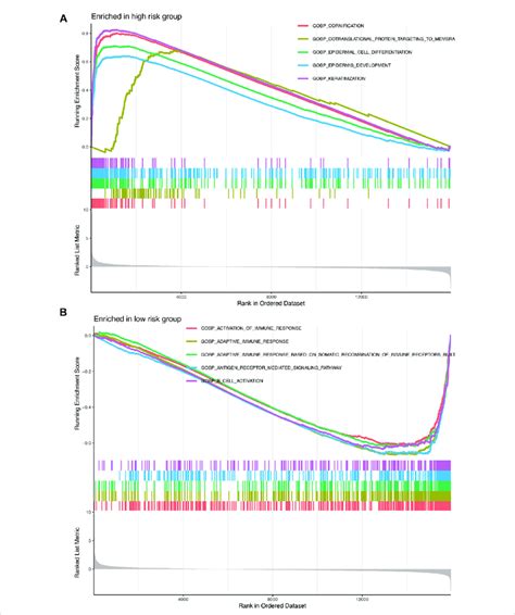 A Enrichment Plots Showing Epidermis Development Blue Epidermal Download Scientific