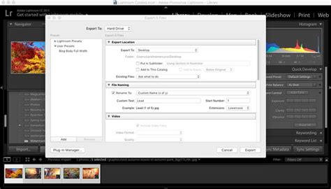 How To Add A Watermark In Adobe Lightroom Storyblocks