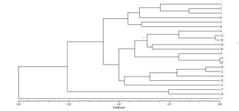 a dendrogram based on rapd markers of the 22 common bean genotypes