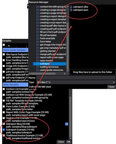 Generate Json Correctly Sql Server Example Dynamicpdf Api