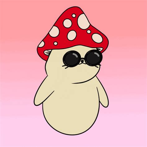 Sexy Fun GIF By Sappy Seals Community Find Share On GIPHY