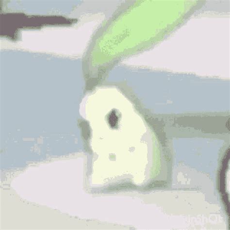 Chikorita  Chikorita Discover And Share S