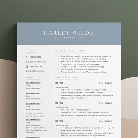 Cv Template Word Resume Google Doc Cv Google Docs CV Templat CV Professional Babe CV