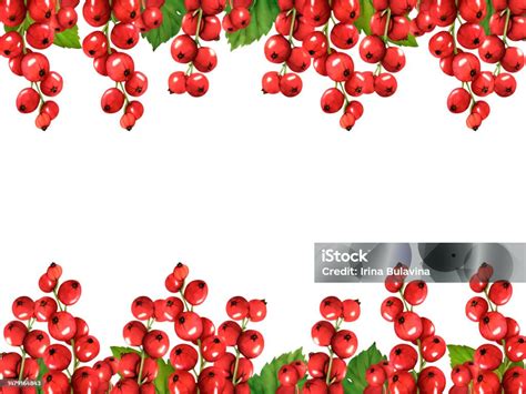 흰색 배경에 격리된 빨간색 익은 건포도 열매의 수채화 프레임 손으로 그린 식물 그림입니다 클립 아트 베리 분기 프레임입니다 비바 마젠타 색상 가리기에 대한 스톡 벡터 아트