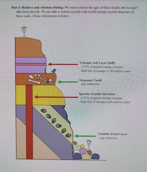Absolute Age Of Fossils