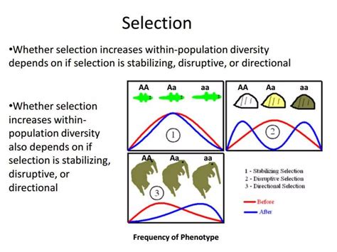 Intraspecific Variation Pptx