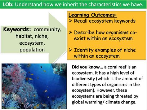 Ecosystems Teaching Resources