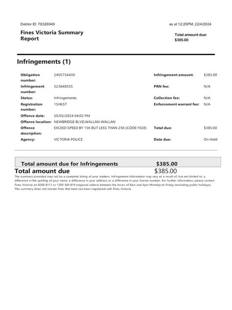 Fines Victoria Summary Report Pdf