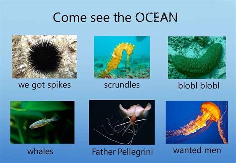 Typed Ocean” Into My Gallery Search Thingie And Got These So Heres These Album On Imgur