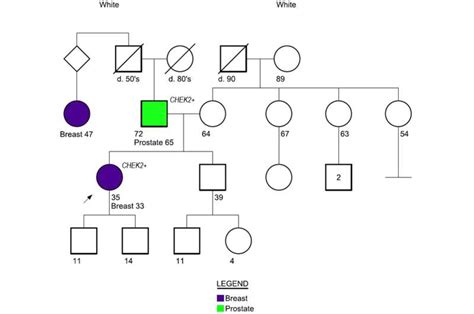 Guidance On Clinical Management Of Chek2 Pathogenic Variants And Cancer