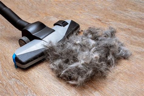 5 of the Best Vacuums For Long Hair - Reviews and Buying Guide
