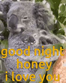 Goodnight Honey S Tenor