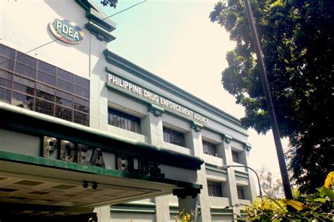 Mag Ingat Sa Sumisikat Na ‘magic Mushroom Pdea Dziq Radyo Inquirer 990am