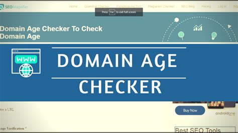 Domain Age Checker Tool Get Domain Age Of Any Website Seomagnifier