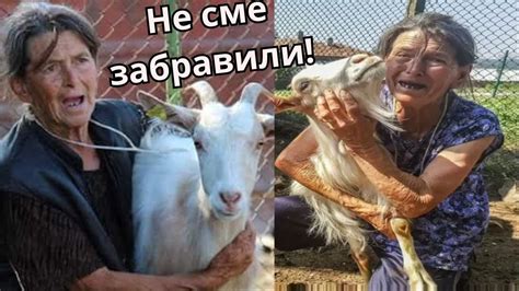 Мъката на една жена баба Дора и нейните козички Youtube