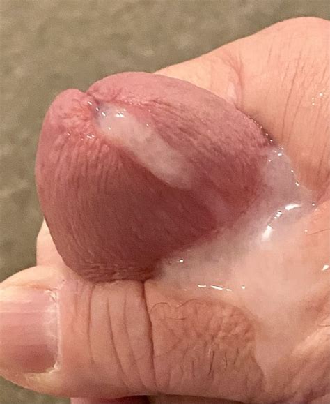 Sweet Release Bardjacob