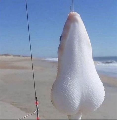 A Fun Shape Rmyweirdnonsense