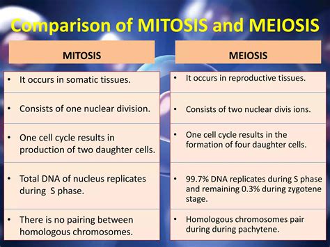 Chromosomal Theory Of Inheritance In Relation To Cell Division Pptx