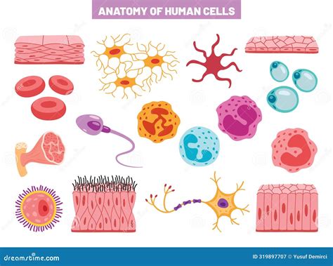 Body Cells Under A Microscope Stock Illustration