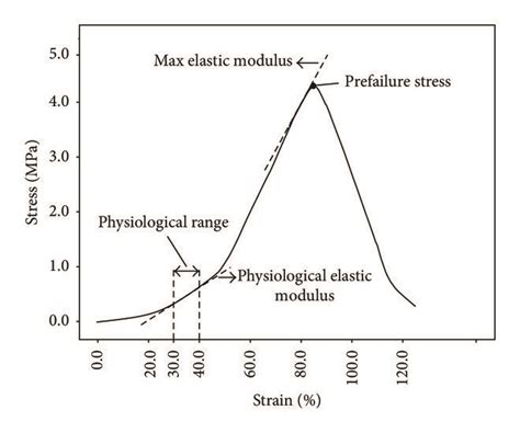 Principles Of Calculation Of The Physiological And Maximum Elastic Modulus Download